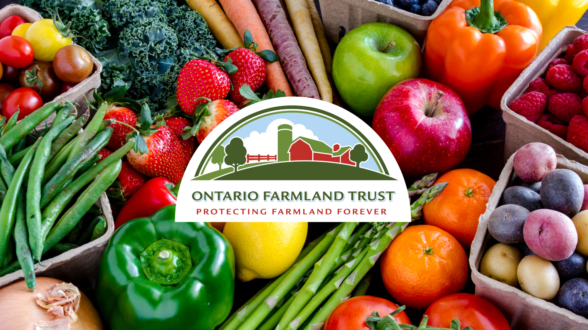 A Guide to Spring Produce in Ontario | Ontario Farmland Trust