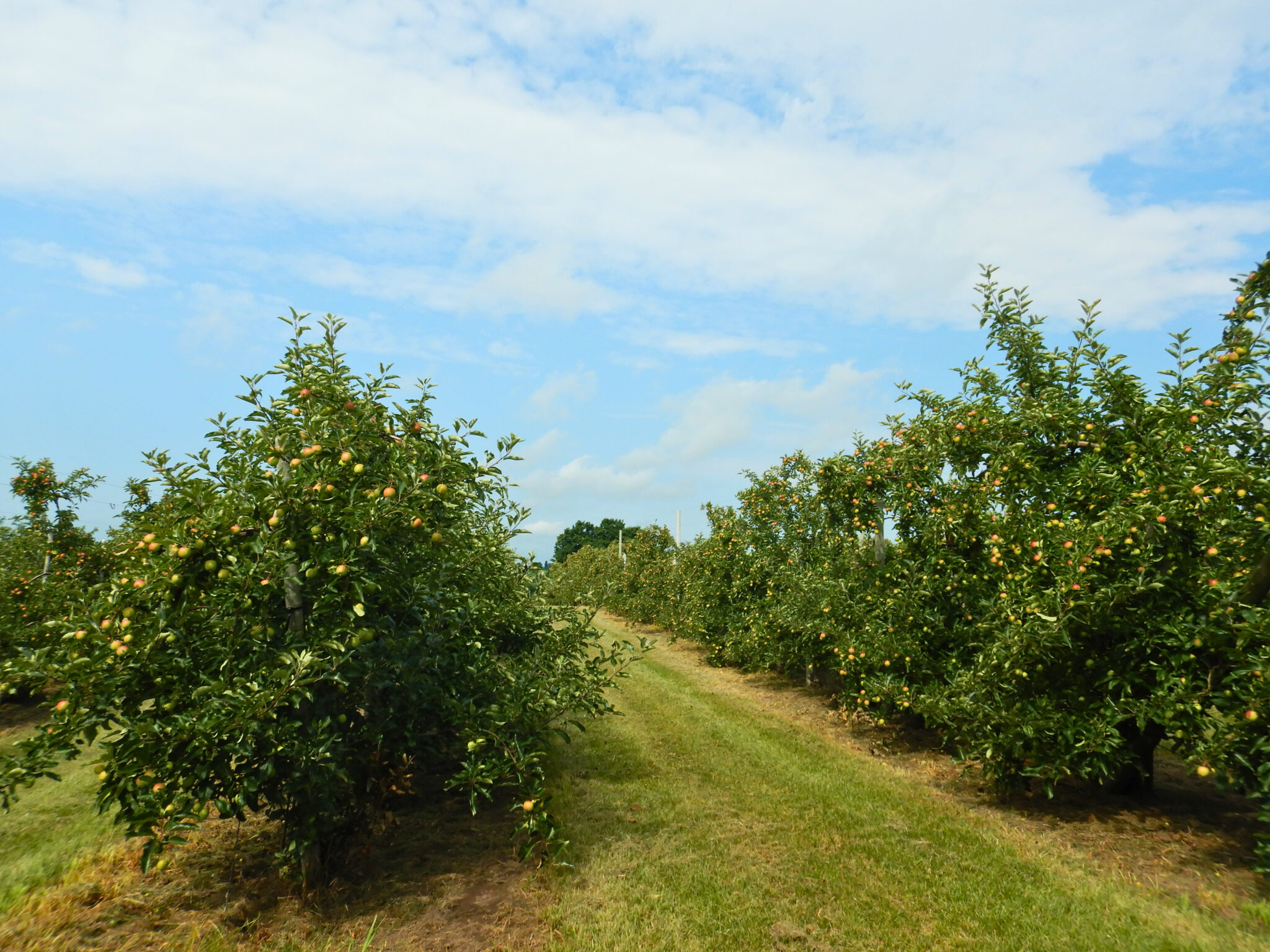 Stevens Farm | Ontario Farmland Trust