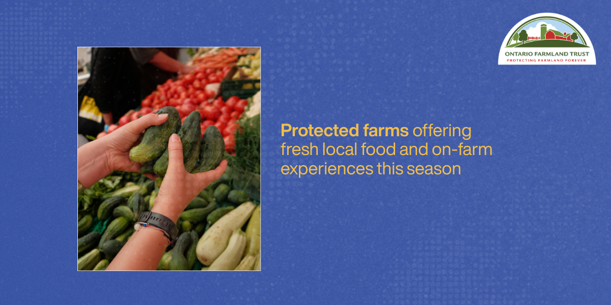 Protected farms offering fresh local food and on-farm experiences this ...